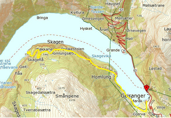 Sightseeing tour mit dem Ausflugsschiff auf dem UNESCO Geirangerfjord